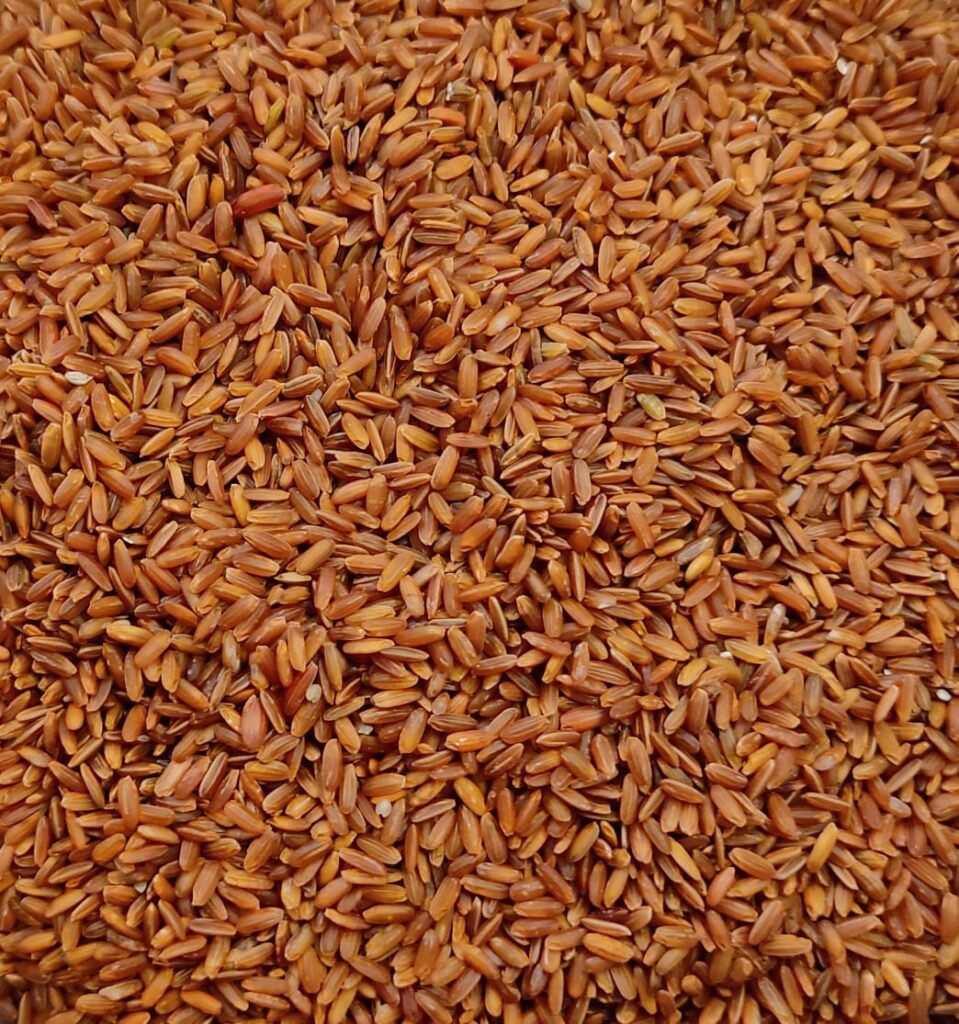 Rakthashali Raw Rice (1 Kg) – h2healthyhabits