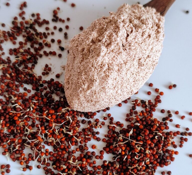 Sprouted Ragi Choco Malt 100g – h2healthyhabits